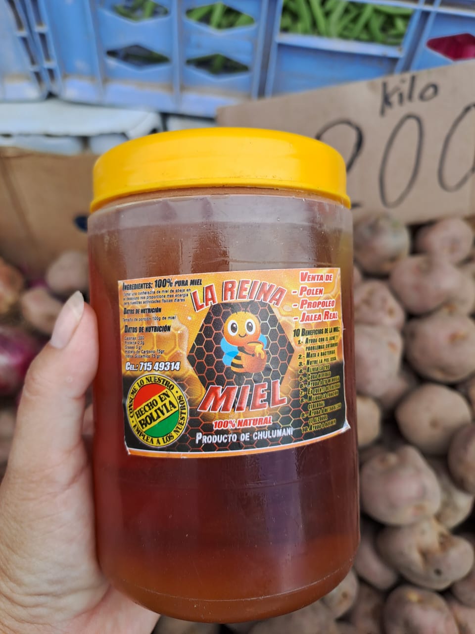 SAG Tarapacá advierte sobre riesgos en el ingreso clandestino de miel de abeja – Prensa Activa